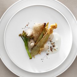 빌레로이앤보흐 아피나 샐러드접시22cm - SSG.COM