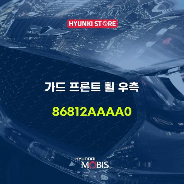 현대모비스가드 프론트 휠 우측 (86812AAAA0) - SSG.COM