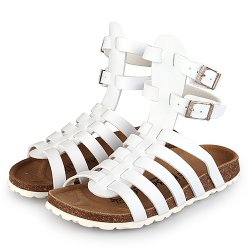 베툴라 글래디에이터 873143 내로우 (BETULA GLADIATOR) - SSG.COM