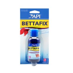 API 베타픽스 50ml - SSG.COM