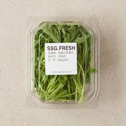 와일드 루꼴라 (50g) - SSG.COM