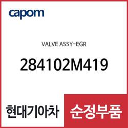 밸브-EGR (284102M419) 쏘나타 DN8, K5, K8 하이브리드, 디올뉴 그랜저 하이브리드, 디올뉴 투싼NX4 ...