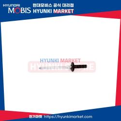 리벳블라인드 (1416003143) 현대모비스부품몰 - SSG.COM