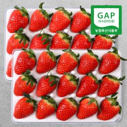 [가재골진진딸기] GAP인증 산지직송 전북 진안 설향딸기 30과(850g내외), 믿고 사는 즐거움 SSG.COM