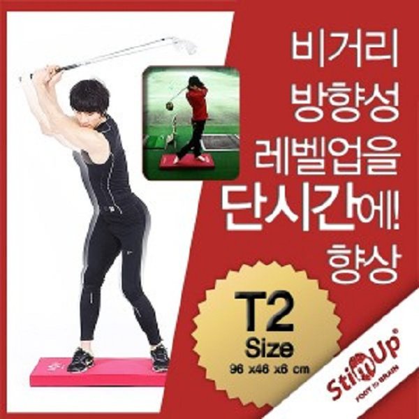 [알푸스] 스팀업 매트 96x46x6(T2) - SSG.COM