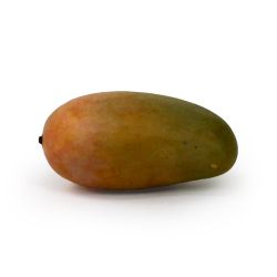 망고 모형FM-002 - SSG.COM