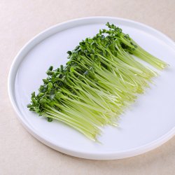 무순 (60g) - SSG.COM