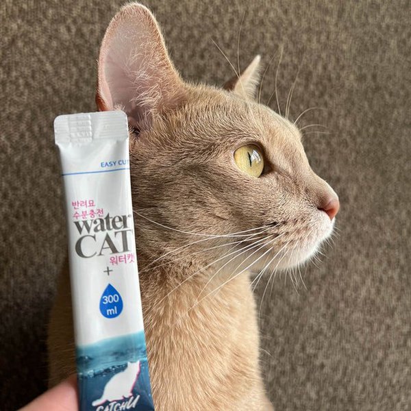 워터캣 1box 3g X 12ea고양이 수액 변비 탈수 - SSG.COM