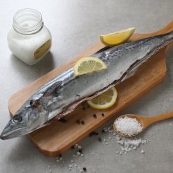 [씨토랑]부산중매인의 초신선 안동 자반삼치 8미 2.8kg(미당 350g) - SSG.COM