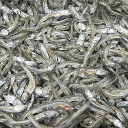 [정성애찬]고바멸치 1.5kg - SSG.COM