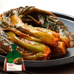 [CJ] 비비고 갓김치 900g - SSG.COM