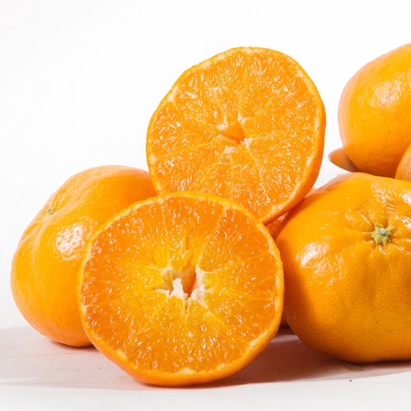 제주 고당도 천혜향 중과 2.5kg - SSG.COM