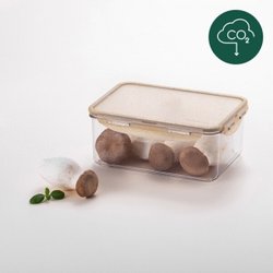 [본사]락앤락 감탄용기 2.3L X 2개 구성(LBF825ES2) - SSG.COM