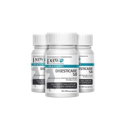 [파우] 다이제스티 케어 강아지 소화보조제 30정X3 - SSG.COM