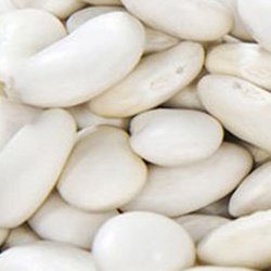 흰 강남콩 채소 씨앗 곡물 껍질 품종 종자 씨 30g - SSG.COM