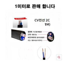 CV SV 전선 4SQ 2C 1M 케이블 전기선 EV옥외 VCTF 외부 컨테이너 - SSG.COM