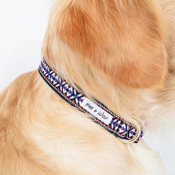 글리 골드 목줄 L 2.5cm - SSG.COM