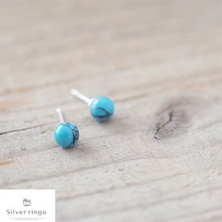 실버925 12월탄생석귀걸이 탄생석12월E - SSG.COM