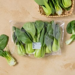 전재호 청경채 (300g) - SSG.COM