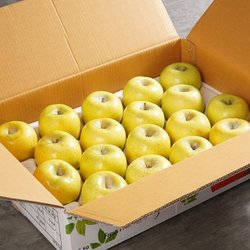 황금사과 시나노골드 일반용 한입 3kg - SSG.COM