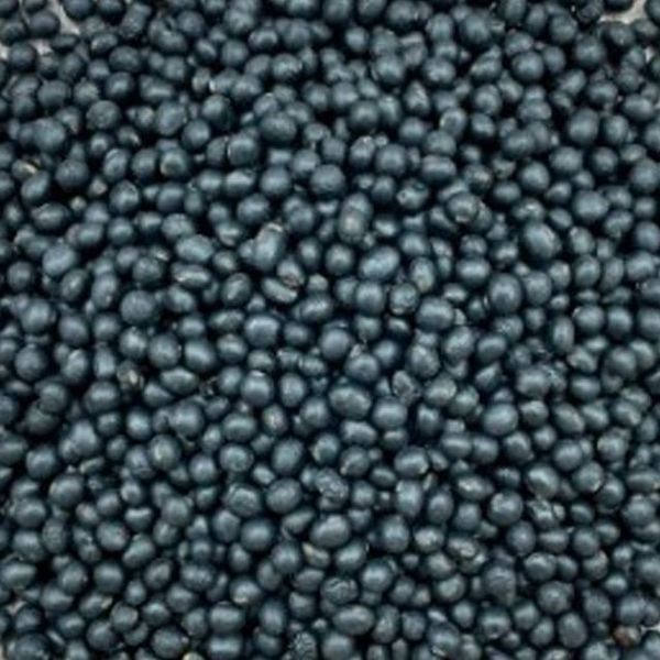 국산 쥐눈이콩 곡물 콩 씨 종자 품종 식물 씨앗 600g - SSG.COM