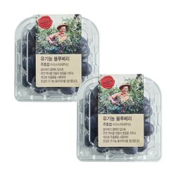[ORGA](1+1)마이스터 제주 블루베리(유기농,100g) - SSG.COM