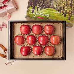 [쓱배송] 청송사과 4.1kg (10~12입) - 이마트몰