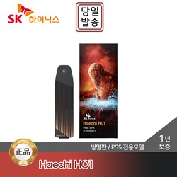 SK하이닉스 Haechi H01 Heat Sink for PS5 전용 방열판 -SSD 미포함- - SSG.COM