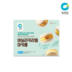 청정원 바닐라카라멜 마카롱 250g(25g*10) - SSG.COM