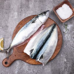 부산 공동어시장 고등어 급냉 특대 2마리 720g 전후 - SSG.COM