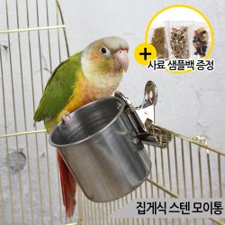 집게식 스텐 모이통 앵무새 급수기 급식기 새모이통 - SSG.COM