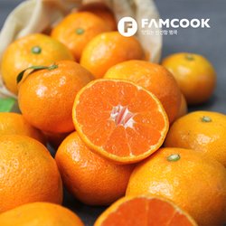 [당도11Brix보장]탐라햇감귤 5kg 소과-2S사이즈 - SSG.COM