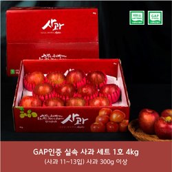 [실속] 저탄소 gap인증 사과세트1호 4kg(11~13입)/BFK - SSG.COM