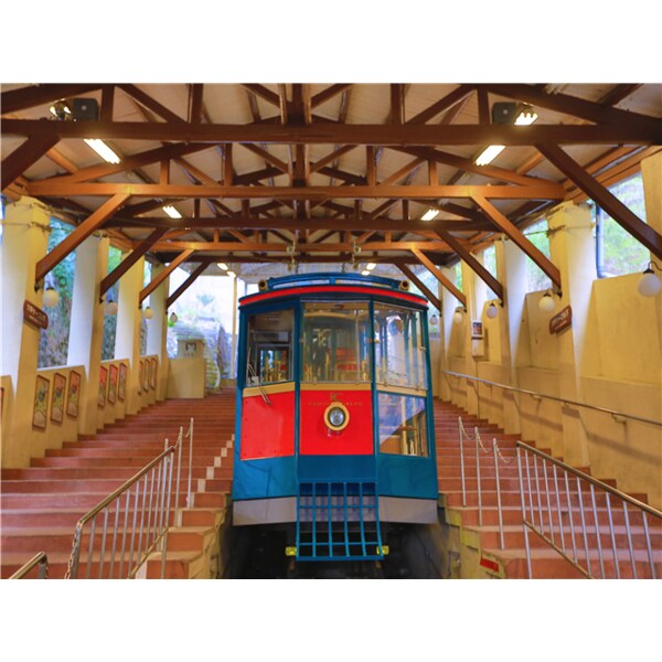 [얼리버드][8명한정][특식/케이블카] 고베/오사카/나라/교토 또는 USJ 3일 (온천호텔/더블룸) - SSG.COM