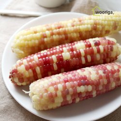 냉동 삶은 홍찰옥수수 28개(16~18cm내외) - SSG.COM