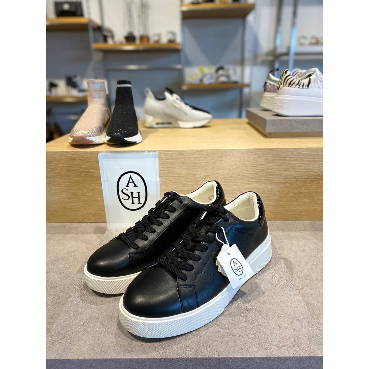 [여주점] [공식수입원] ASH(아쉬) 남성 FREDDY BIS 프레디 비스 스니커즈(AC4U01005/BL) - SSG.COM