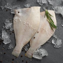 손질 가자미 특대 4-7마리 1.4kg-1.7kg - SSG.COM