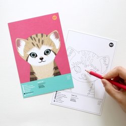 모래고양이 멸종위기동물 컬러링 엽서 2in1 - SSG.COM