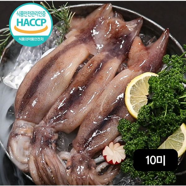 자연산 손질 통오징어 총 10미 (260g(2미)X5팩)[33878532] - SSG.COM