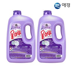 [애경] 울샴푸 퍼플 라일락 용기 3L X 2개 - SSG.COM