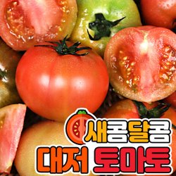 대저토마토 2.5kg - SSG.COM