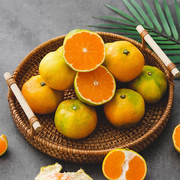 [자연맛남] 제주직송 햇 감귤 4.5kg x 2박스 (2S-L) - SSG.COM