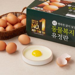 무항생제 동물복지 유정란 30구(15구*2ea) - SSG.COM