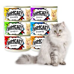 CATSOME 붐캣 고양이캔 80G (1BOX) - SSG.COM