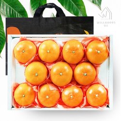 [웰굿]제주직송 천혜향 선물세트 4.5kg(24-30과,소과,부직포포함) - SSG.COM