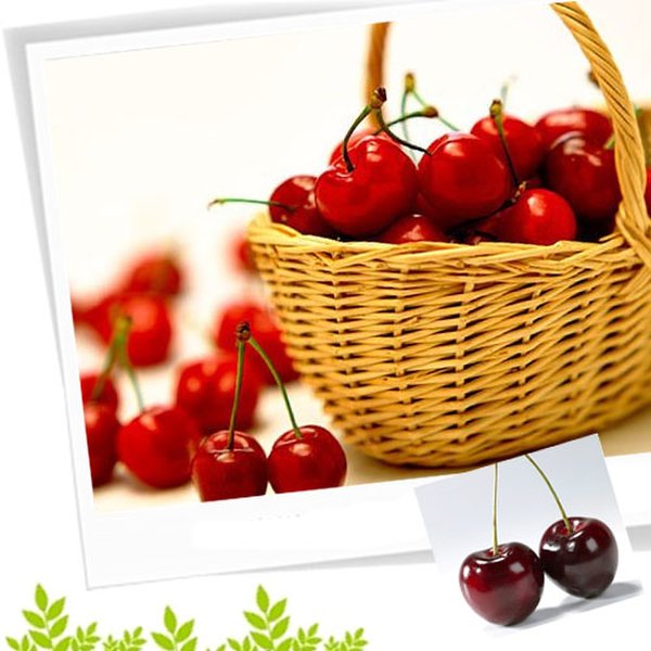 [점보사이즈]품격이 다른 과일- 체리(500g,9.5R) - SSG.COM