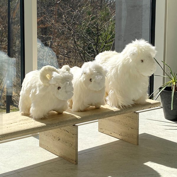 앤메리노 시그니처 인형 (4 type) - SSG.COM