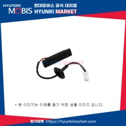 아웃사이드 핸들록 트렁크 리드 (812602W500) - SSG.COM
