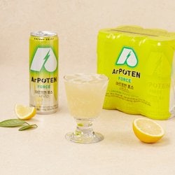 아르포텐(ArPOTEN) 포스 시트러스 (6입)X1 / 총 6캔 - SSG.COM