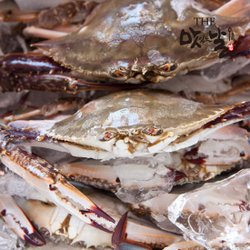 연평도 급냉 숫꽃게 2.1kg 8미/마리당 250~270g - SSG.COM